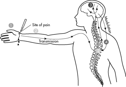 https://hacia-una-fisioterapia-basada-en-la-evidencia.webnode.es/l ...